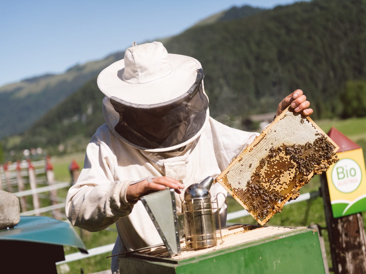 Online Stammtisch für Bio-Imker:innen startet - BIO AUSTRIA