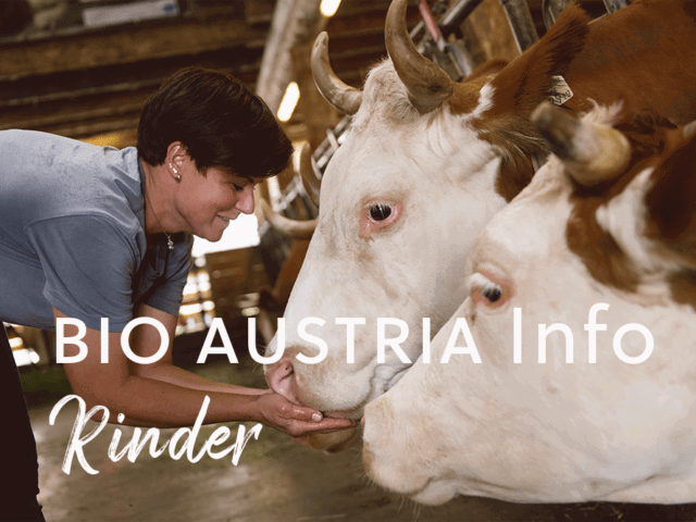 BIO AUSTRIA Info - Rinder 1/25 - BIO AUSTRIA