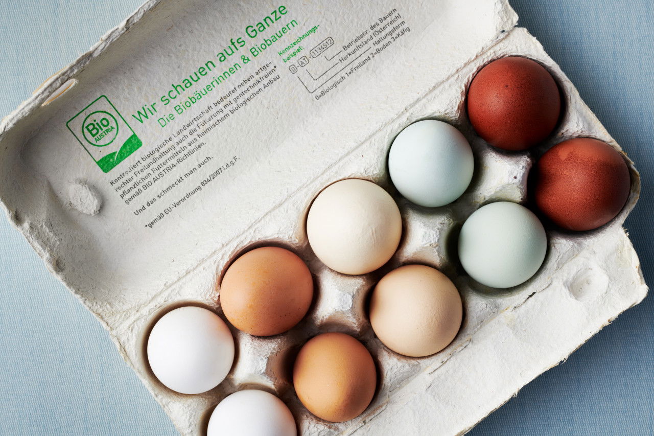 Kennzeichnung von Eiern - BIO AUSTRIA