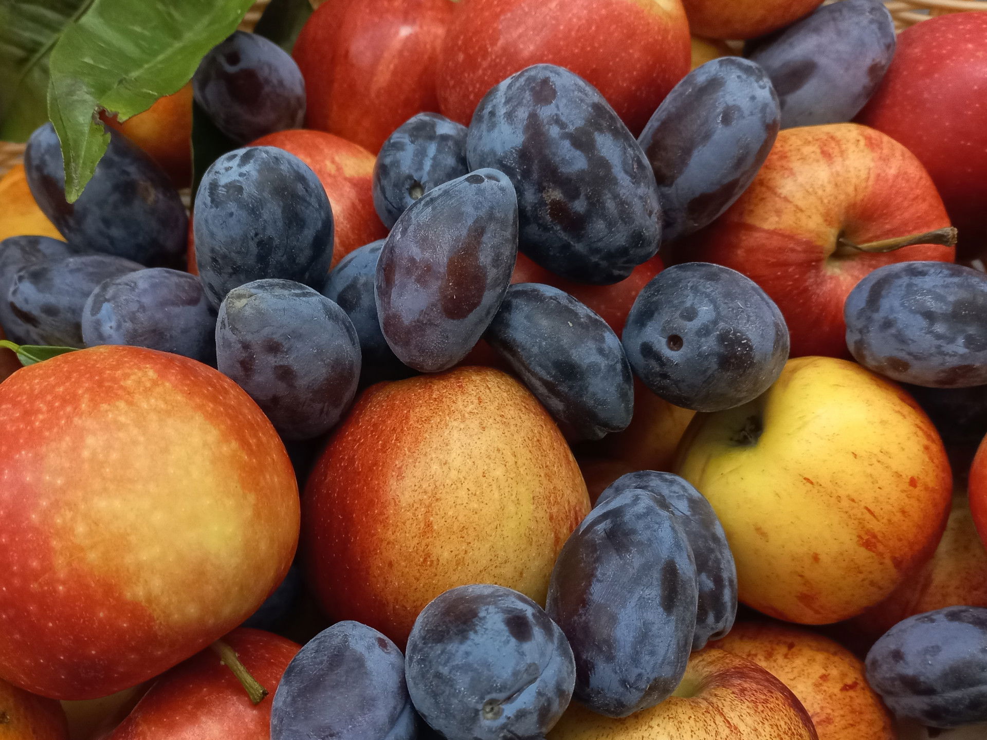 Willkommen bei Bio Austria Niederösterreich und Wien - BIO AUSTRIA