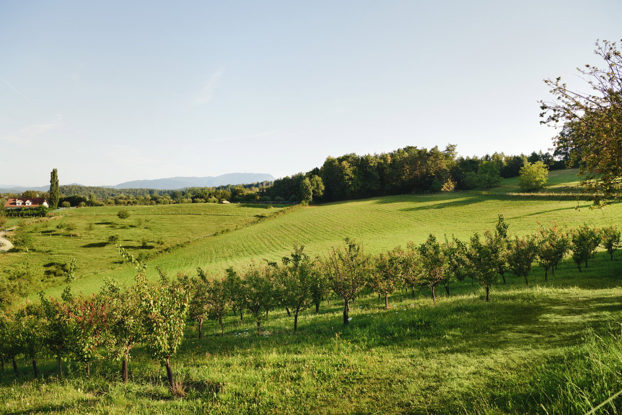 Let's go Bio - Wander- und Radtour im Bezirk Weiz - BIO AUSTRIA