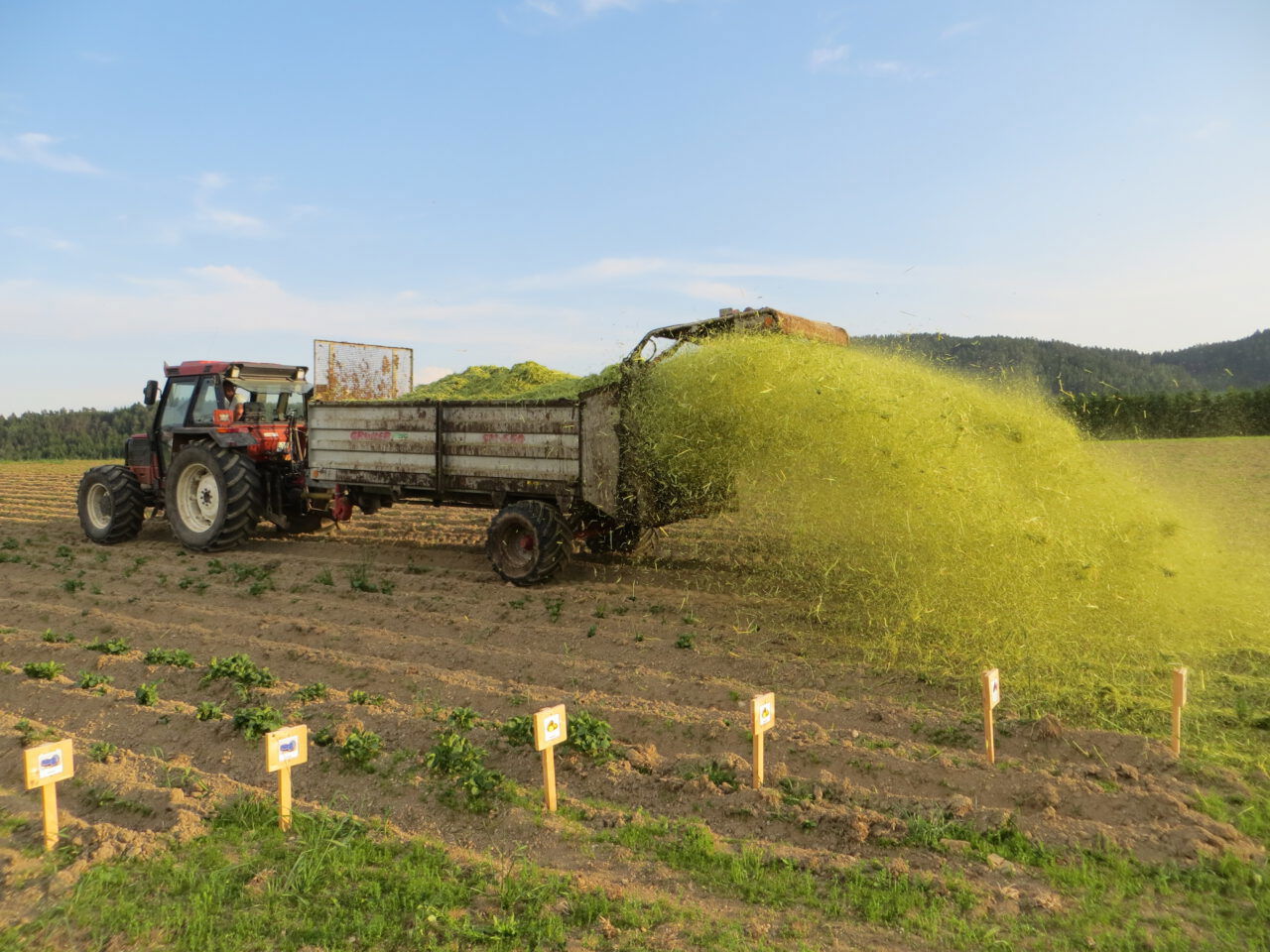 Onlineseminar: Transfermulch und Bokashi - BIO AUSTRIA