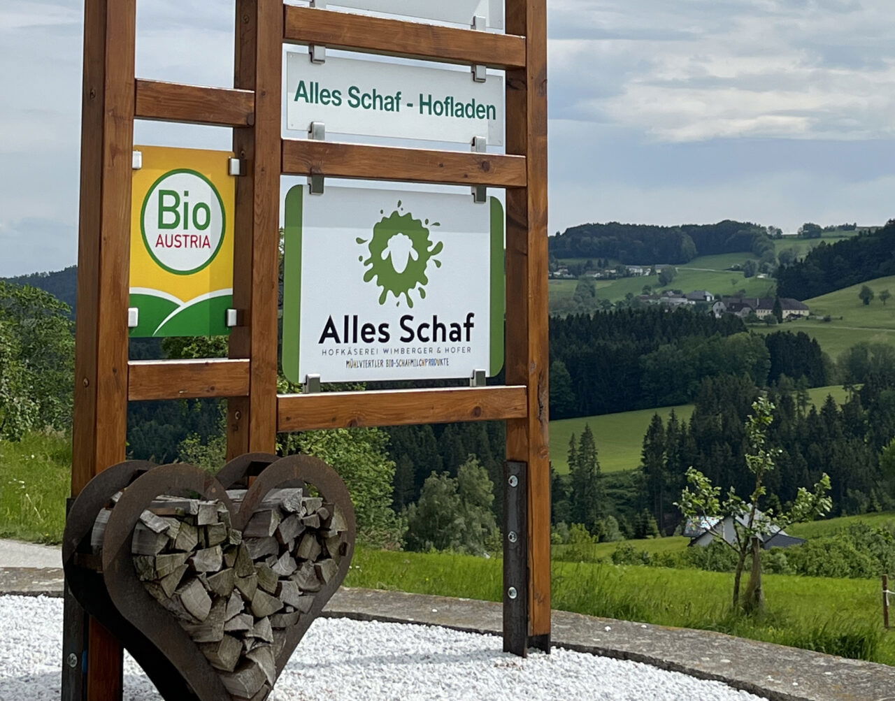 Bio-Direktvermarktung von Schaf- und Ziegenmilch: Exkursion zu 3 ...