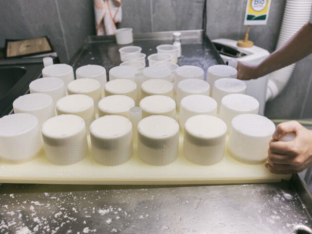 Hofeigene Milchverarbeitung - BIO AUSTRIA