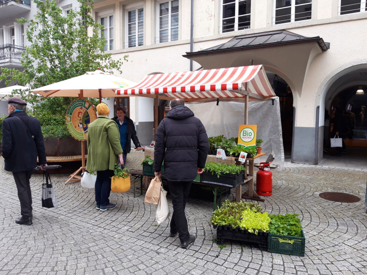 Erdreich Setzlingsmarkt - BIO AUSTRIA
