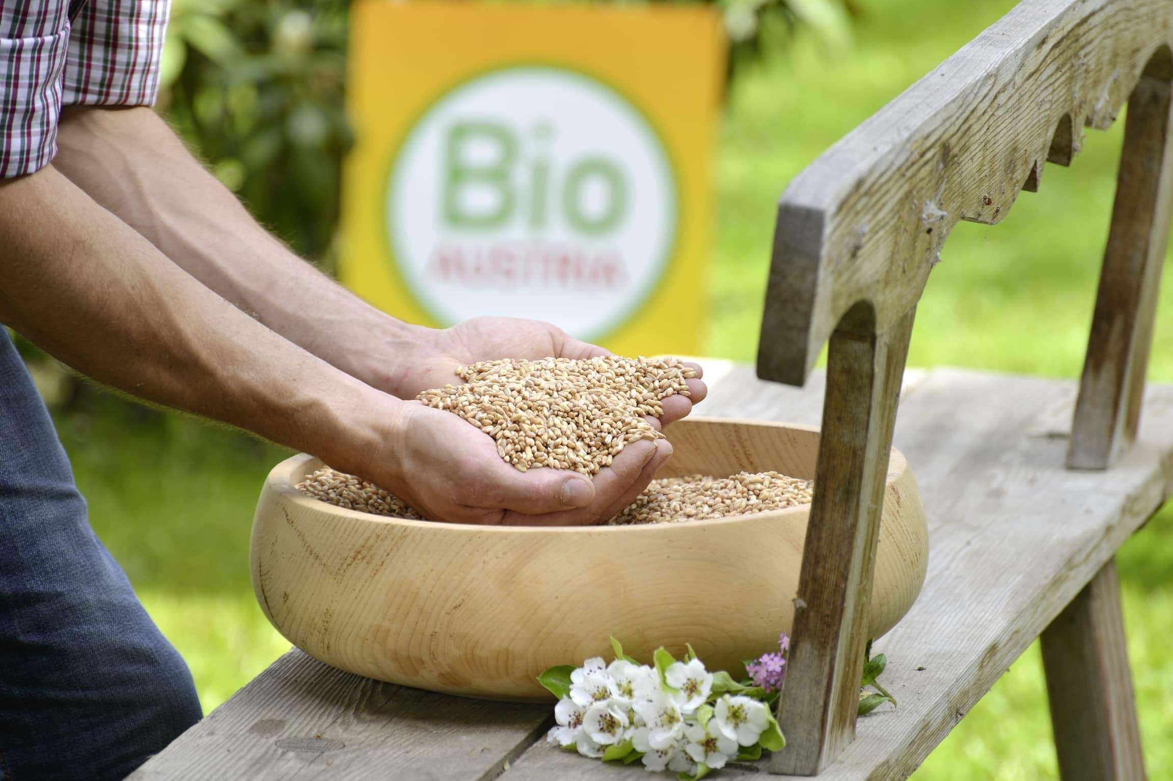 Unsere Leistungen und Geschichte - BIO AUSTRIA