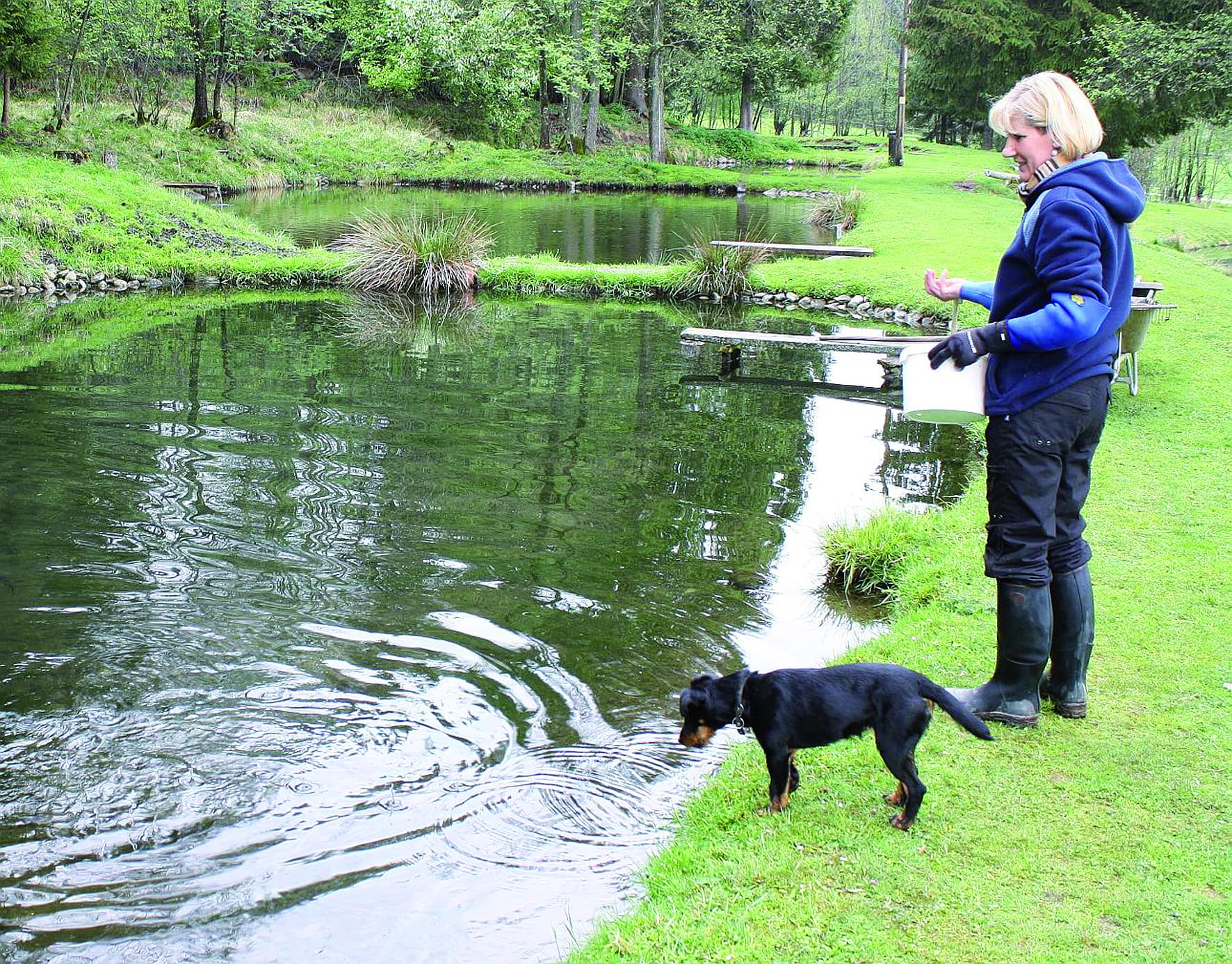 Besser heimischen Bio-Fisch essen! - BIO AUSTRIA